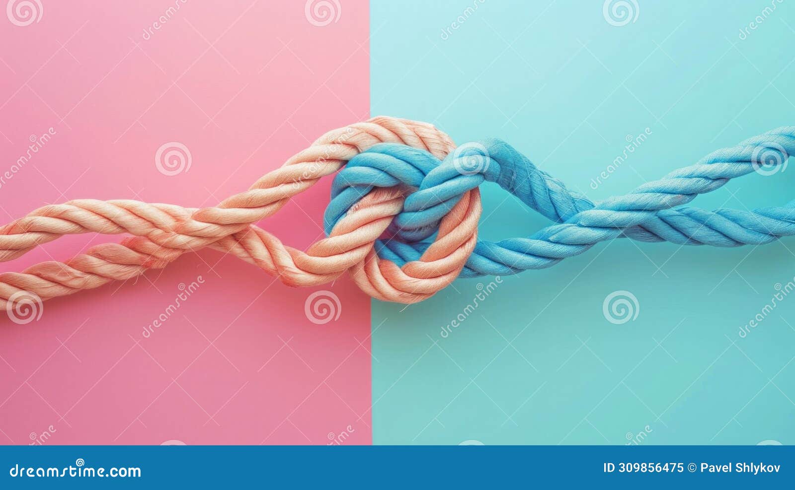 Rainbow Ropes Knotted Together on Bicolor Background. Creative ...
