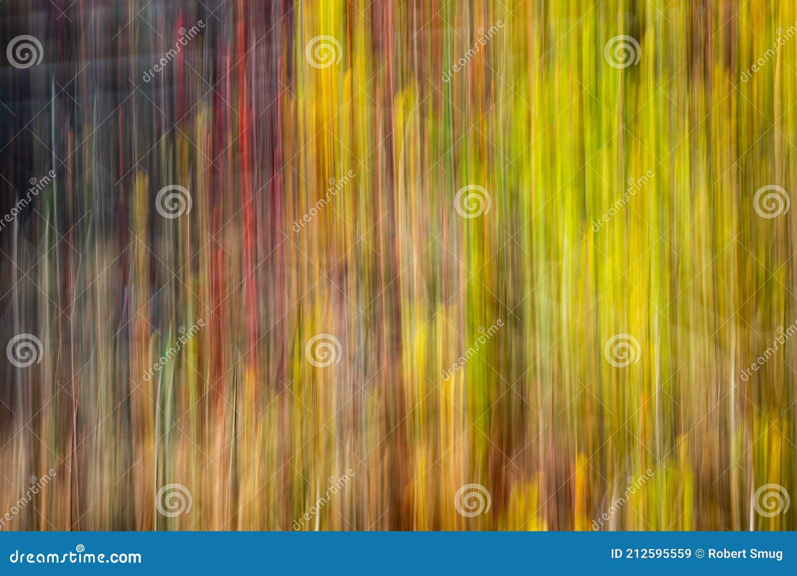 A Rainbow of Saturated Colors in Vertical Lines Stock Illustration ...