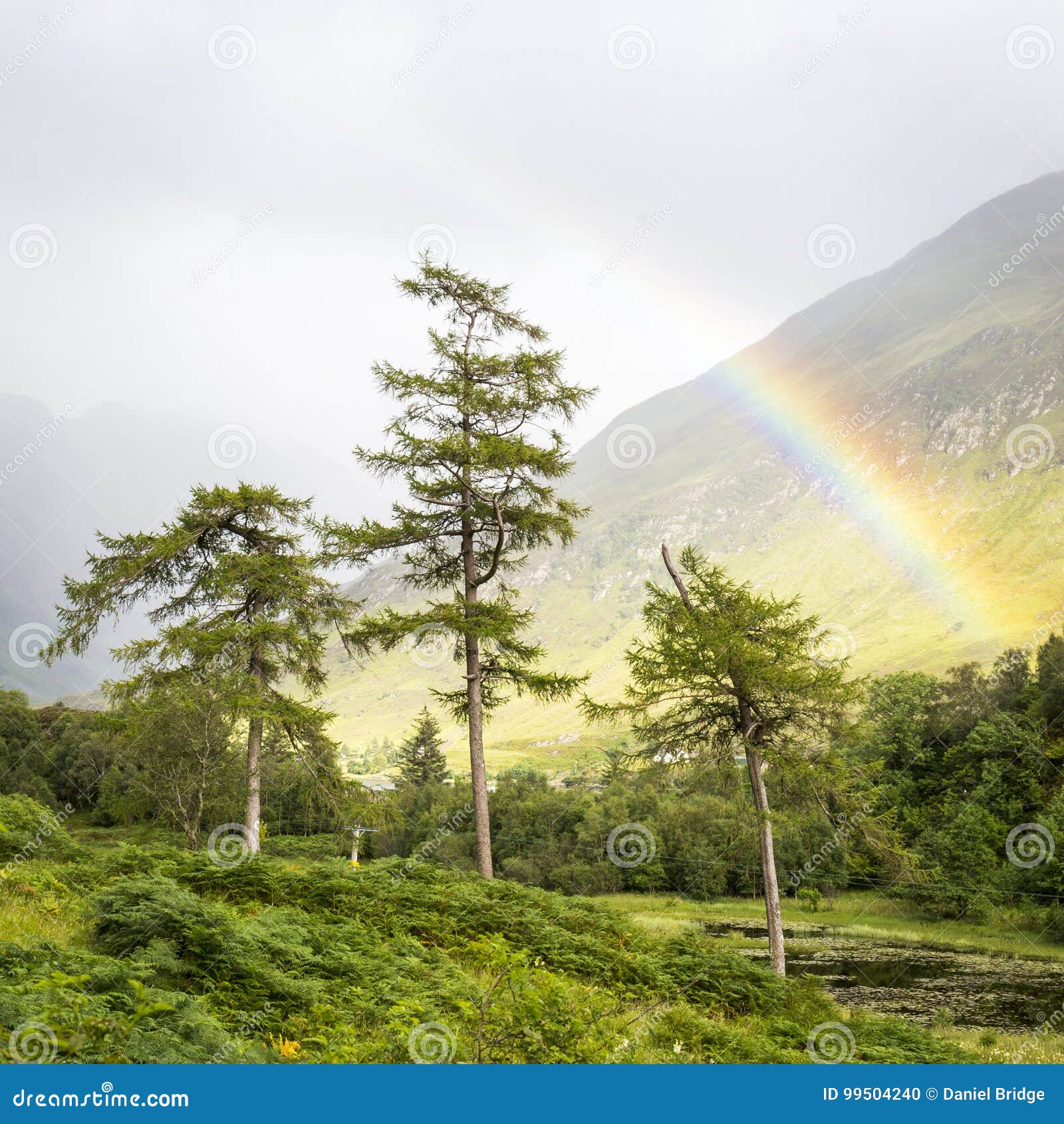 Rainbow in Scottish Highlands Valley Stock Photo - Image of valley ...