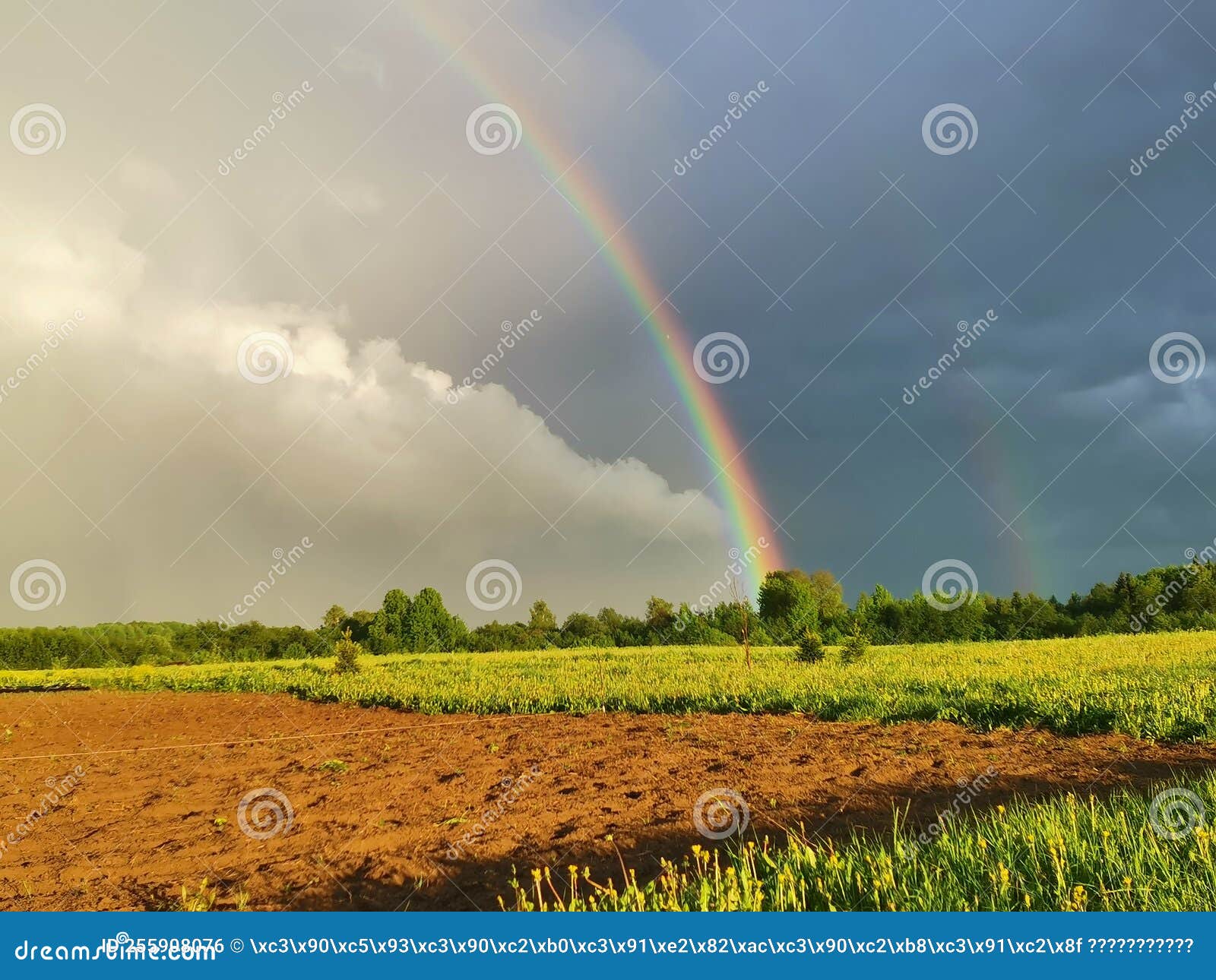 Rainbow on the sky stock photo. Image of rain, nature - 255908076