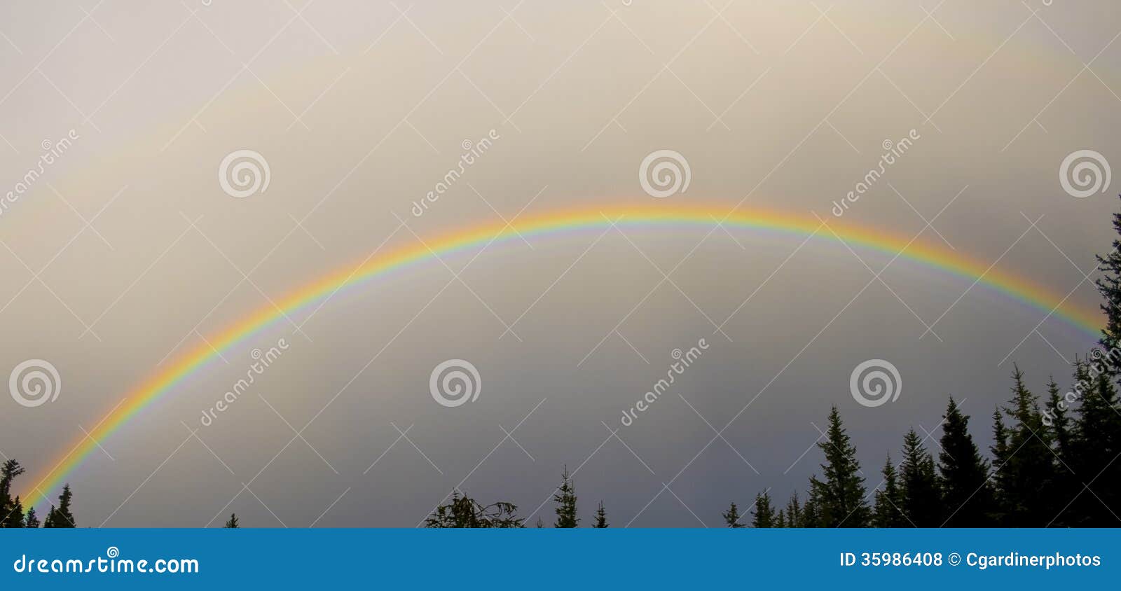 Rainbow in the Sky stock photo. Image of overcast, optical - 35986408