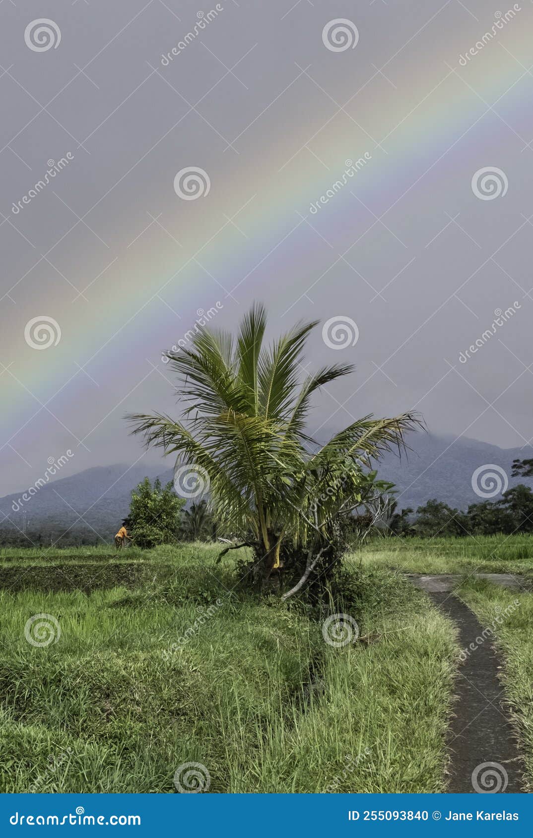 Rainbow Sky Over Bali Landscape Stock Photo - Image of mountains, hill ...