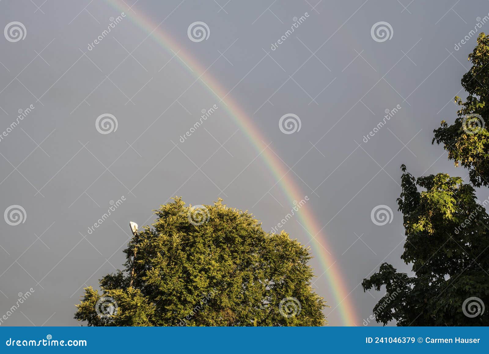 A Rainbow in the Sky Over Trees Stock Image - Image of overcast, summer ...