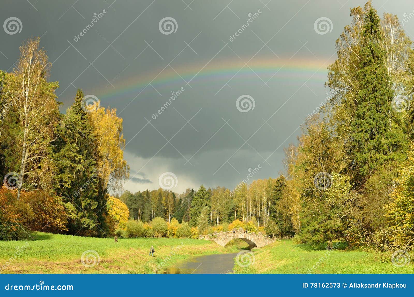 The Rainbow in the Sky after the Rain. Stock Image - Image of tree ...