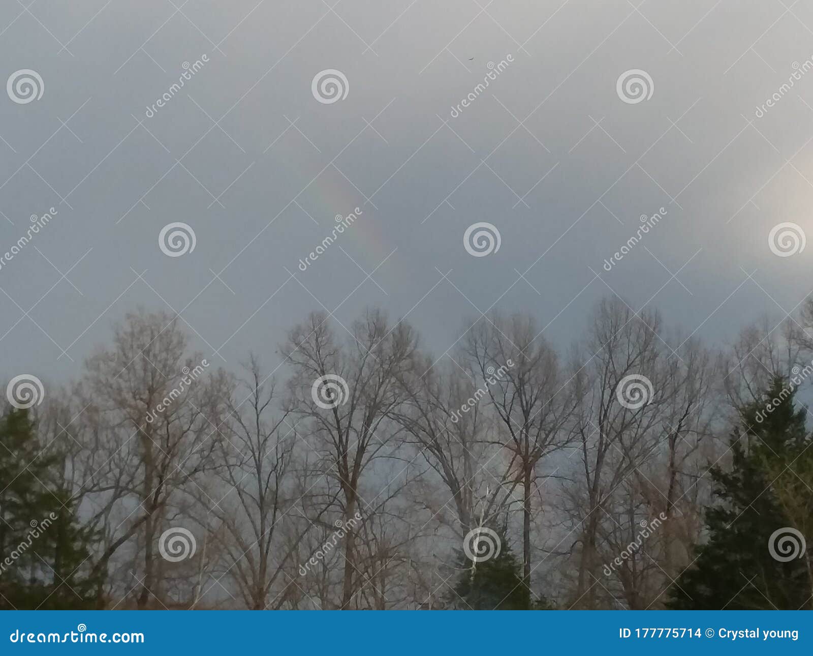 Rainbow in the Sky when it is Raining and the Sun Was Out Stock Photo ...