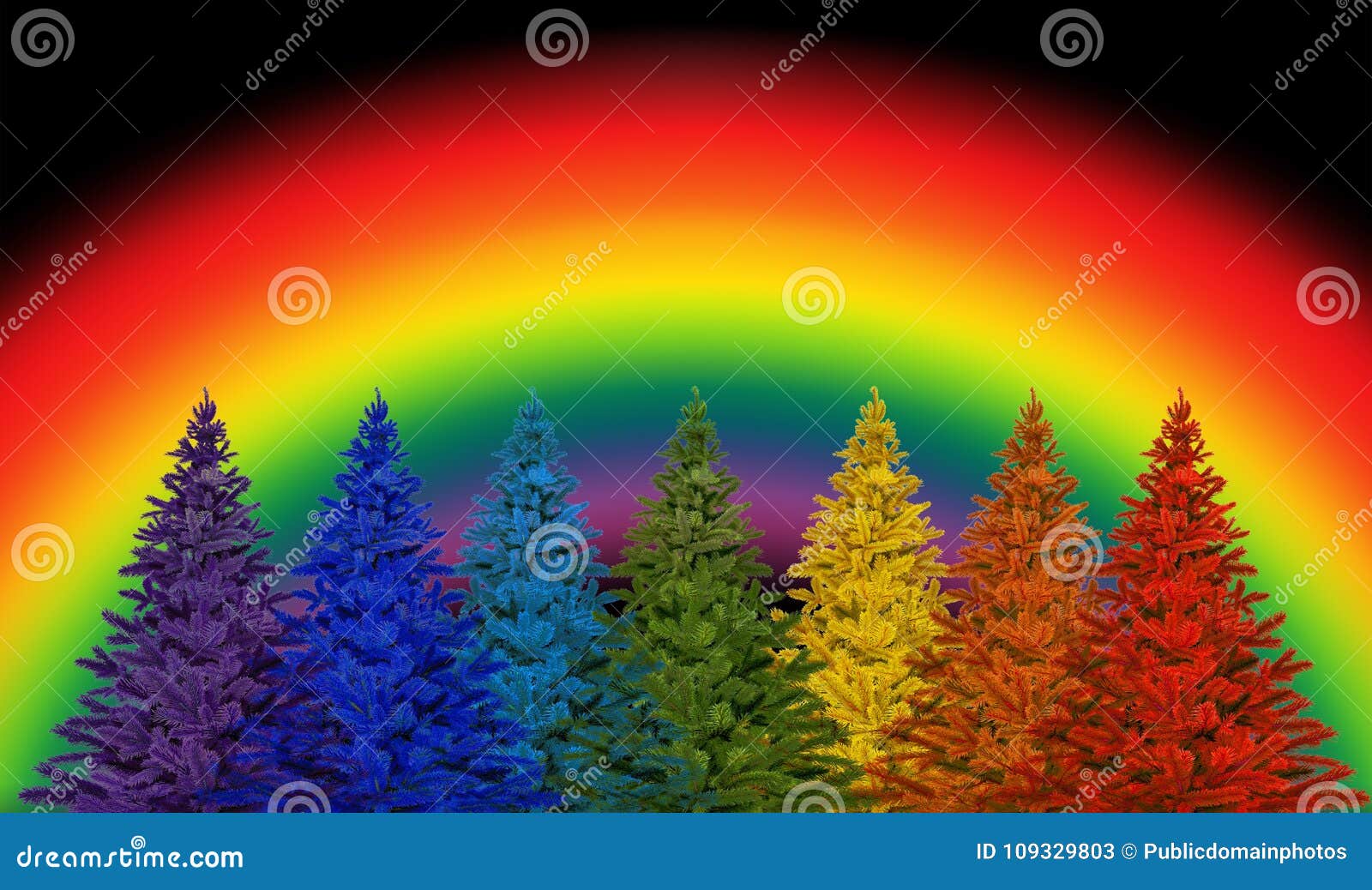 Rainbow, Sky, Tree, Fir Picture. Image: 109329803