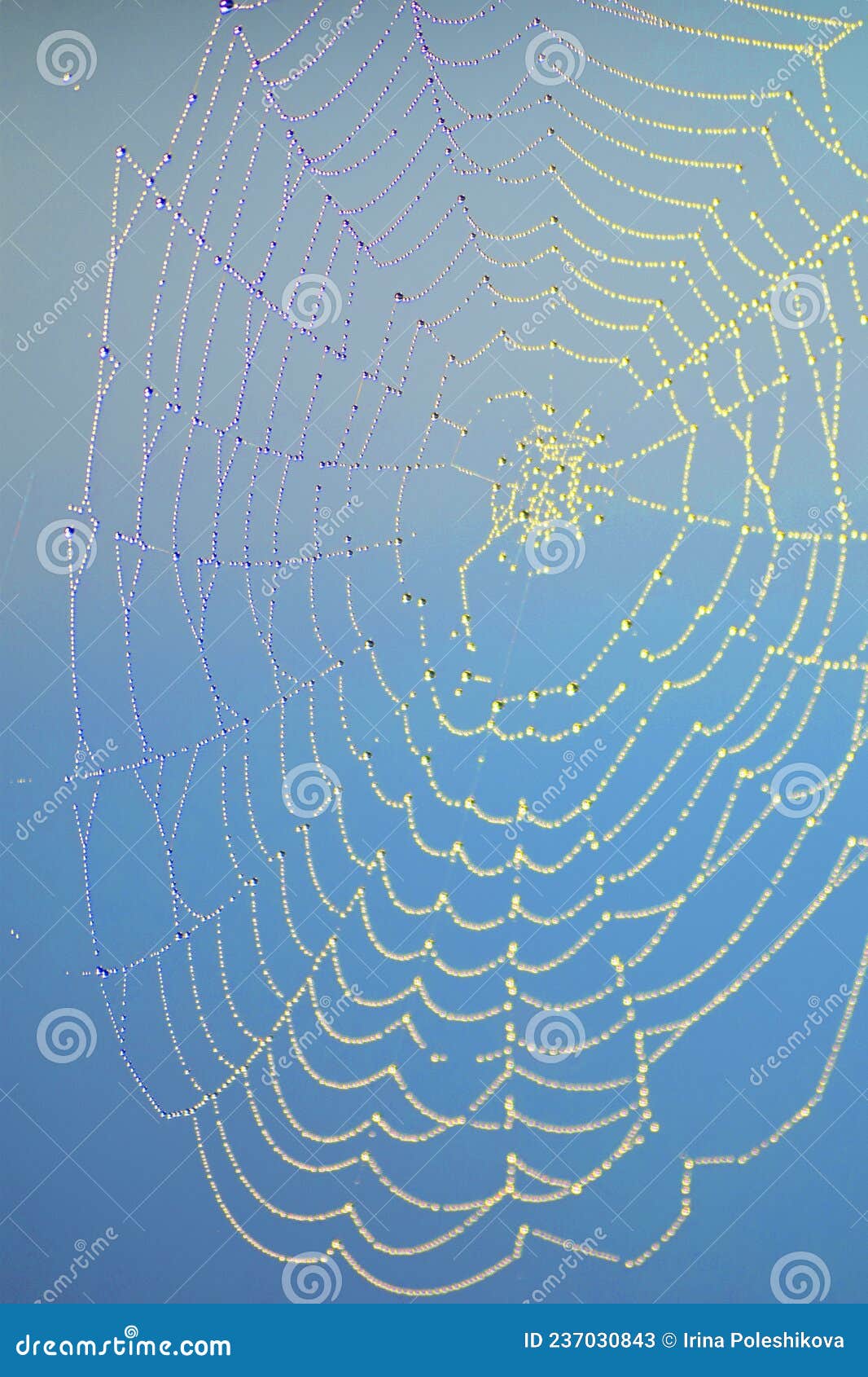 Rainbow Spiderweb and Water Drops on Blue Sky Background Stock Image ...