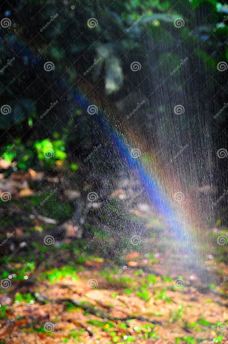 Rainbow through Spray of Water Stock Image - Image of orange, spectrum ...