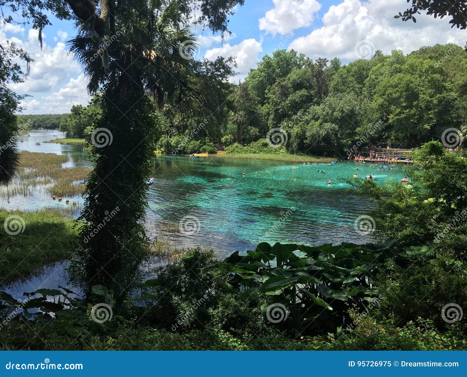 Rainbow springs stock image. Image of springs, trees - 95726975