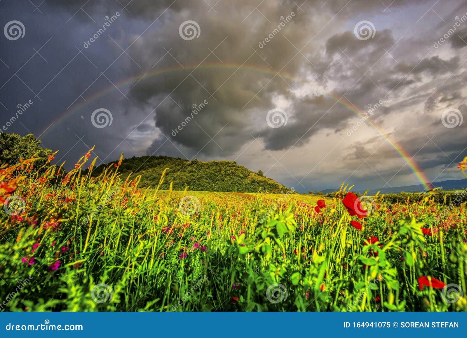 Landscape at the Springtime and Beautiful Rainbow Stock Image - Image ...