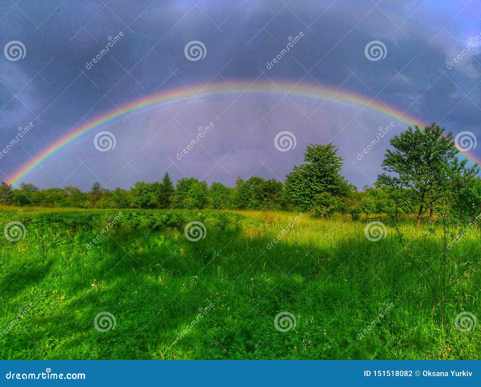Rainbow in summer editorial photography. Image of summer - 151518082