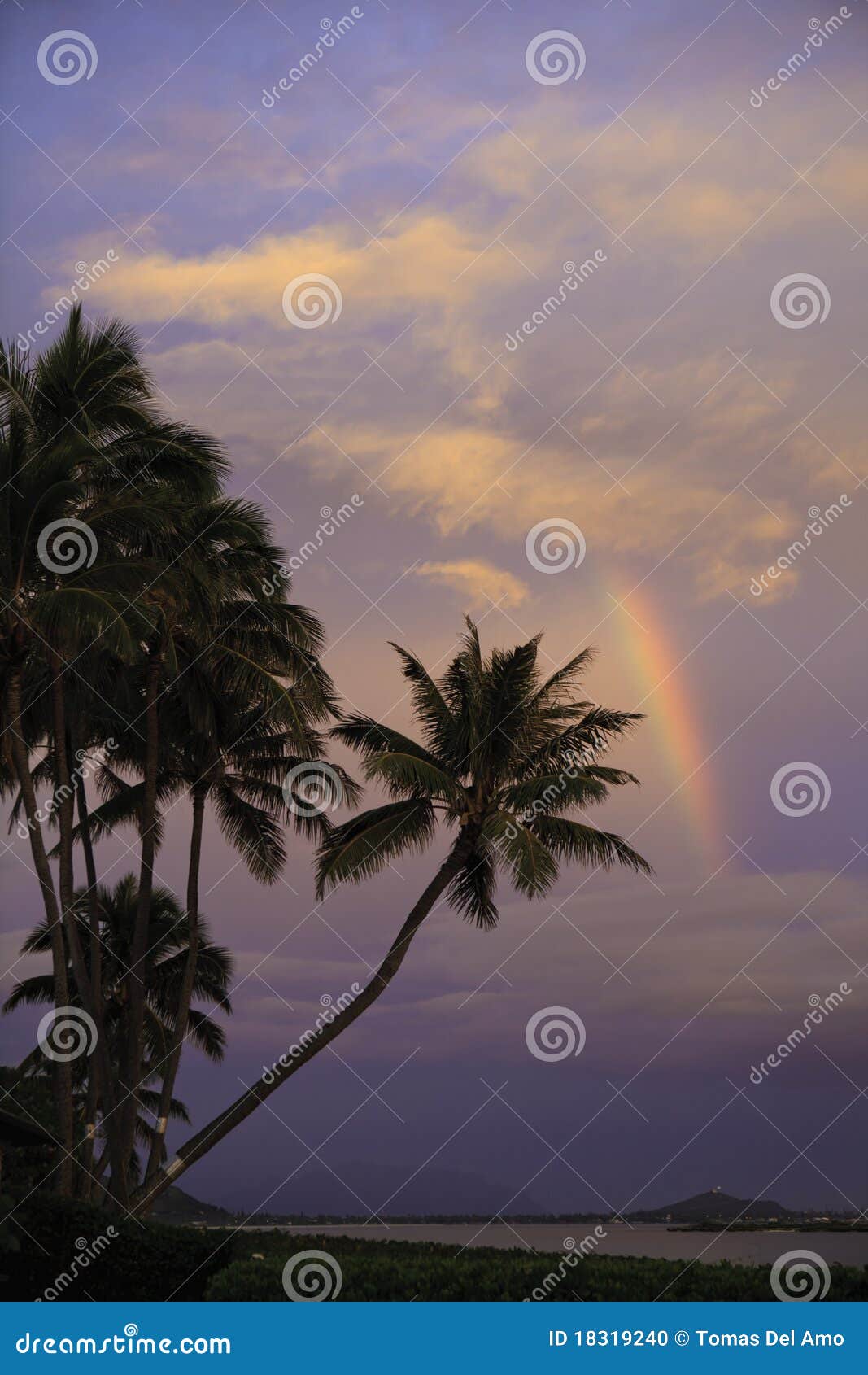Rainbow at sunrise stock photo. Image of coastal, reflections - 18319240