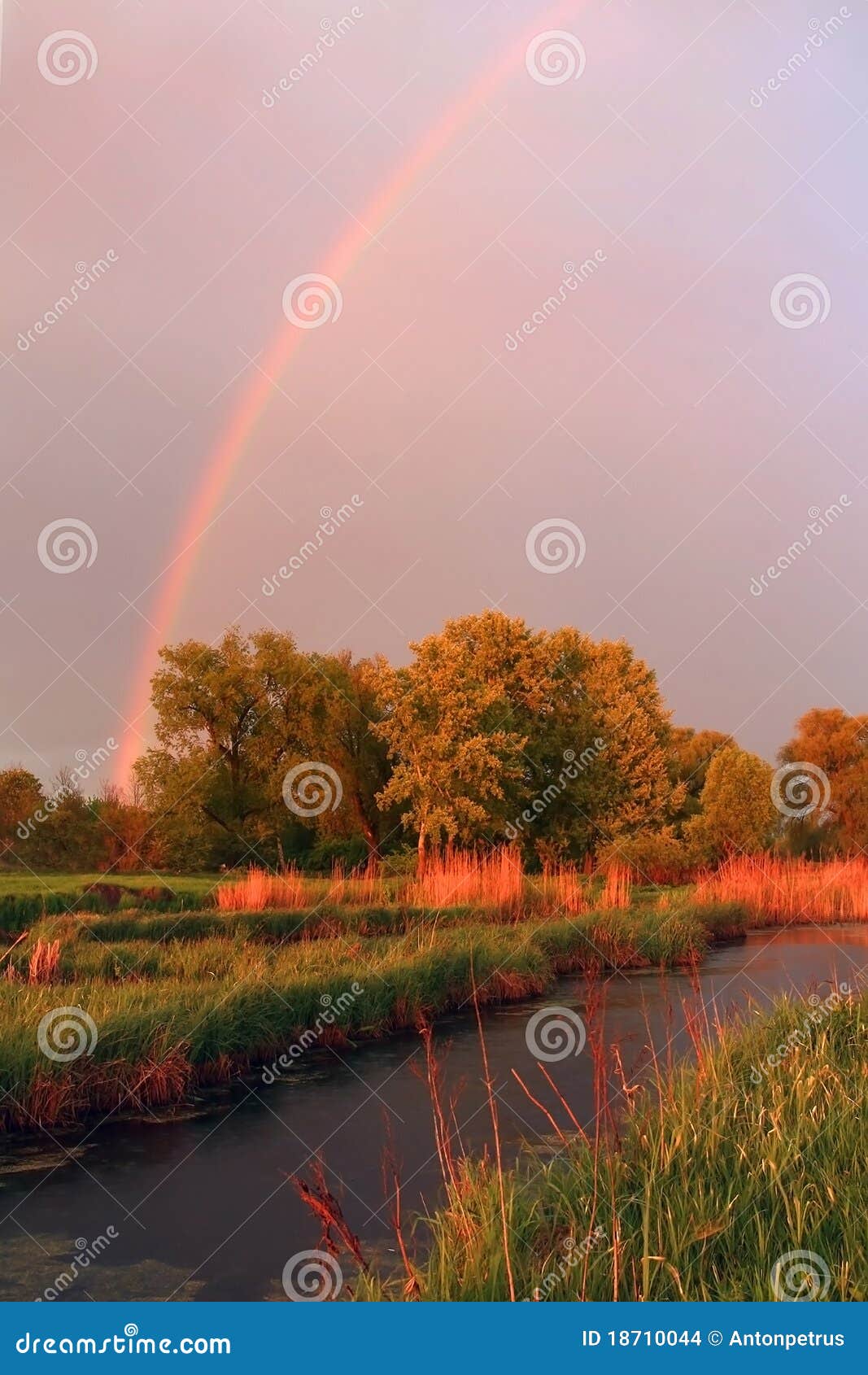 Rainbow at sunset stock photo. Image of cloud, gold, beautiful - 18710044