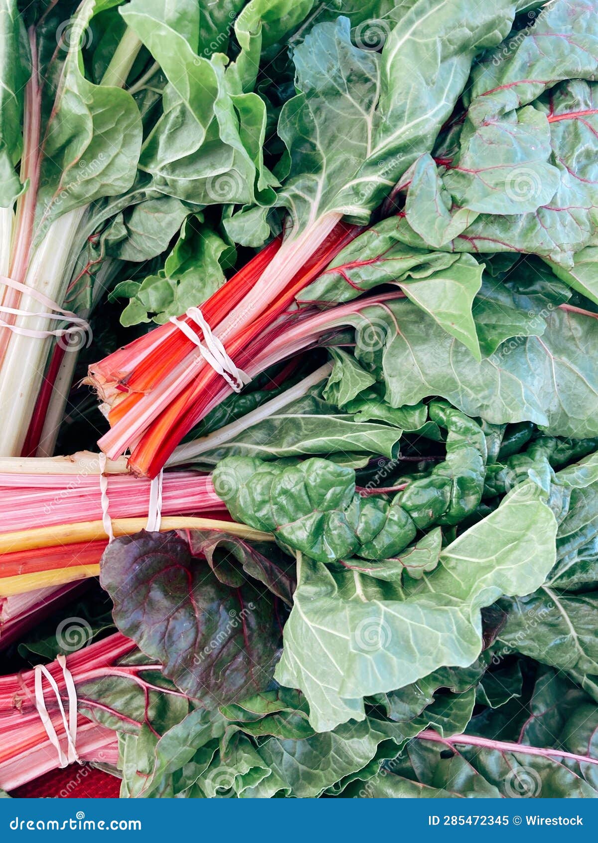 Rainbow Swiss Chard at Farmers Market Stock Image - Image of farmers ...