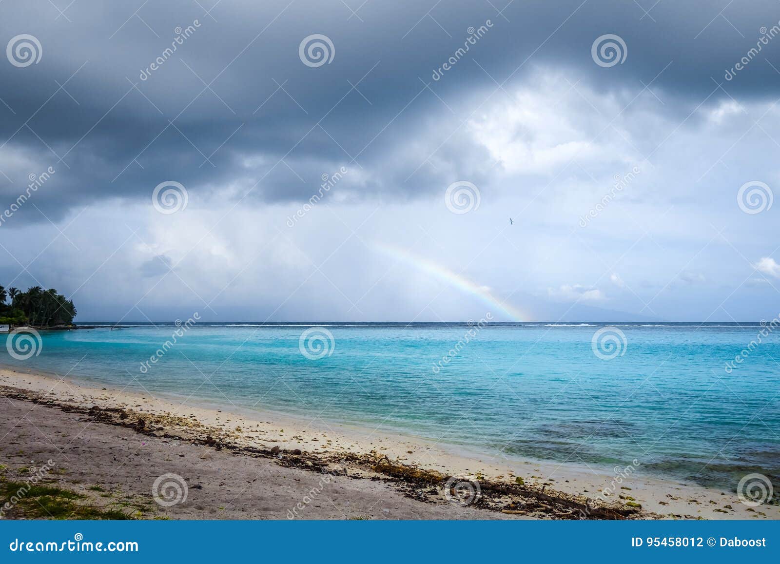 Rainbow on Temae Beach Lagoon in Moorea Island Stock Photo - Image of ...
