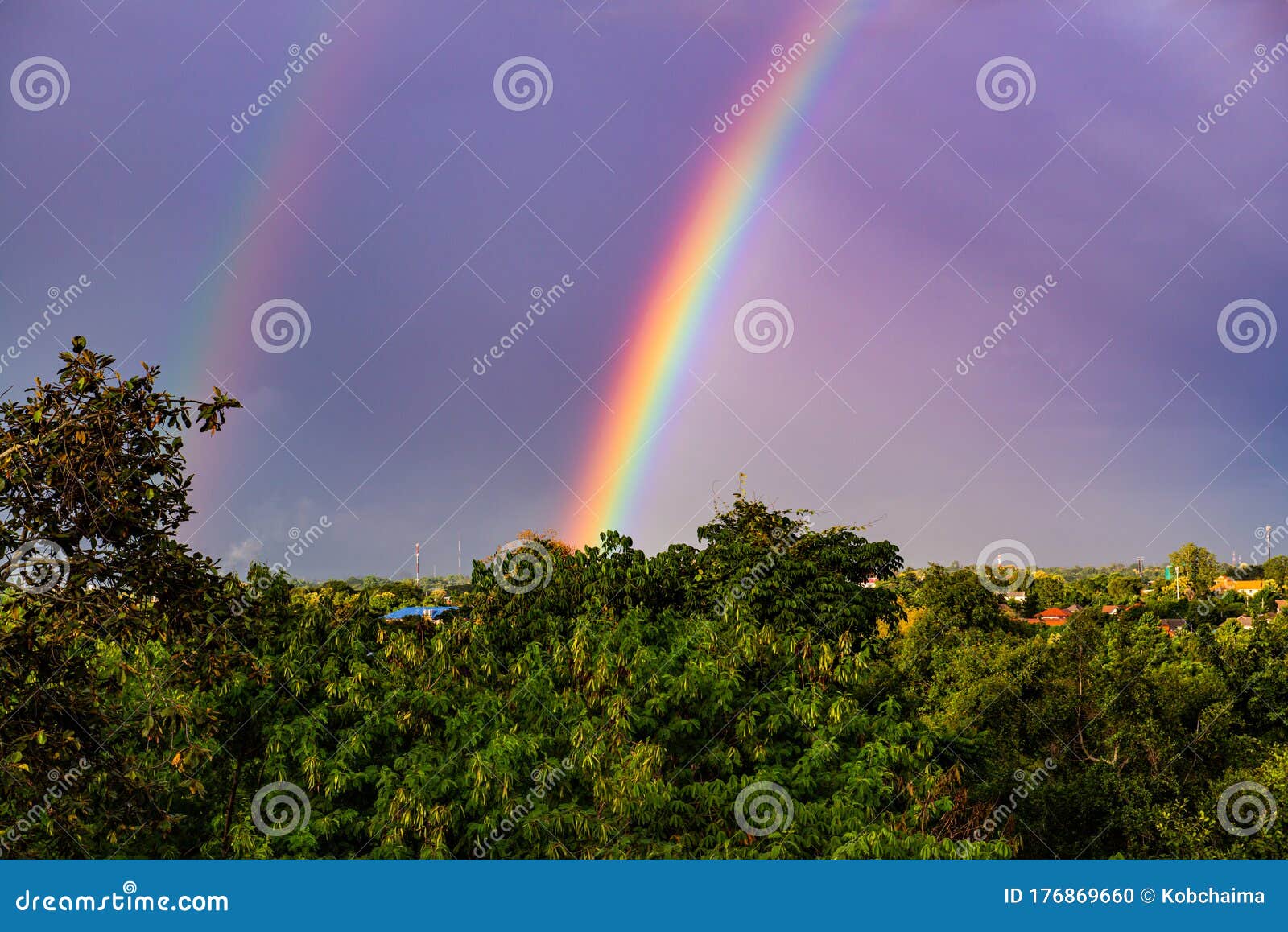 Rainbow Tree In Forest Background Royalty-Free Stock Photo ...