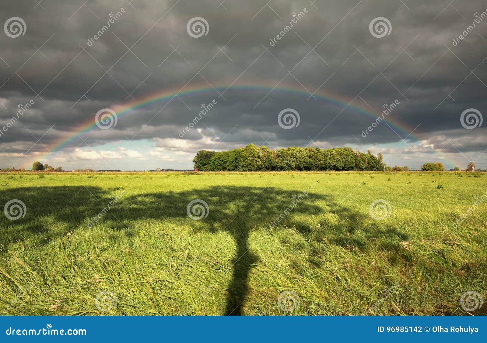Rainbow and tree shadow stock photo. Image of field, scenic - 96985142