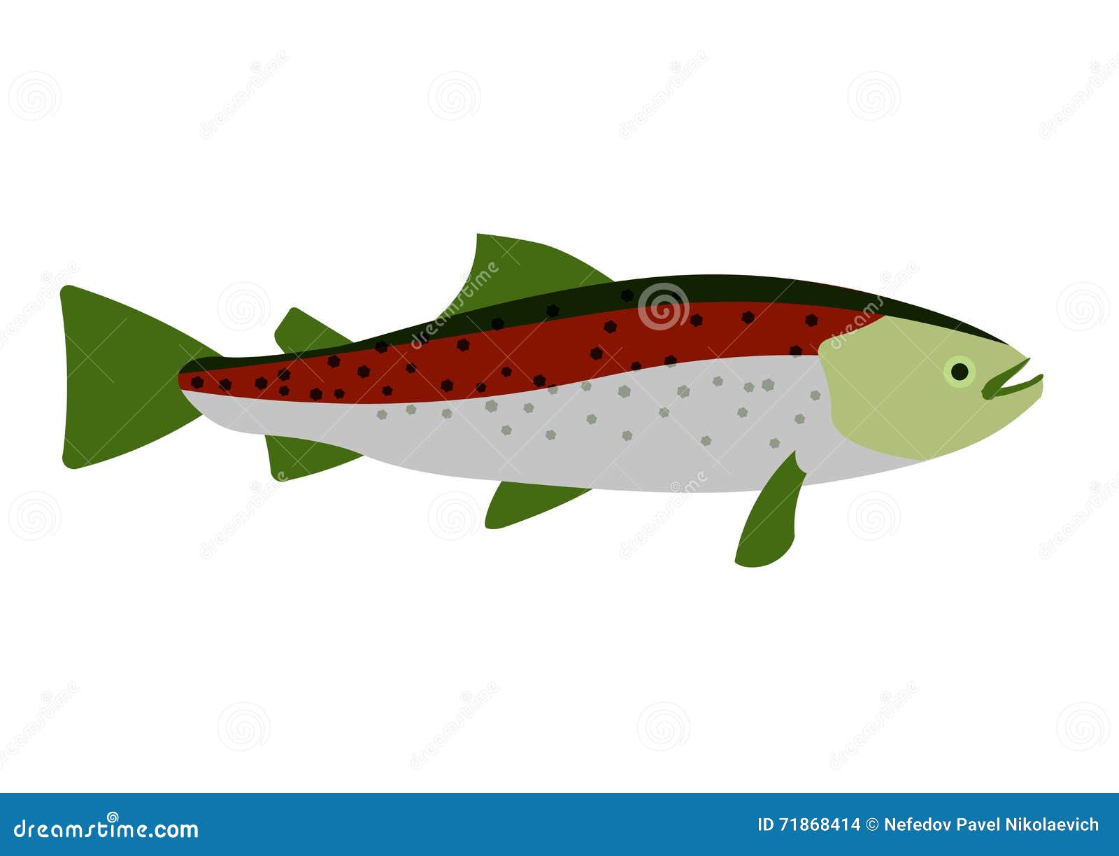 Rainbow Trout Cartoon Illustration. Stock Illustration - Illustration ...