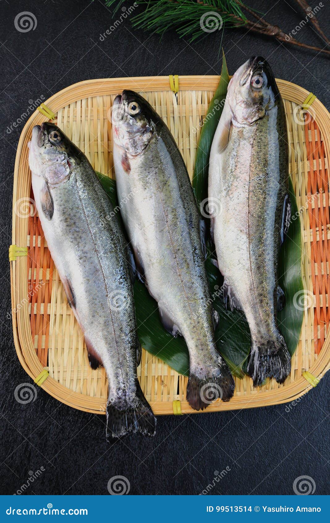 Rainbow trout stock photo. Image of healthy, cooking - 99513514