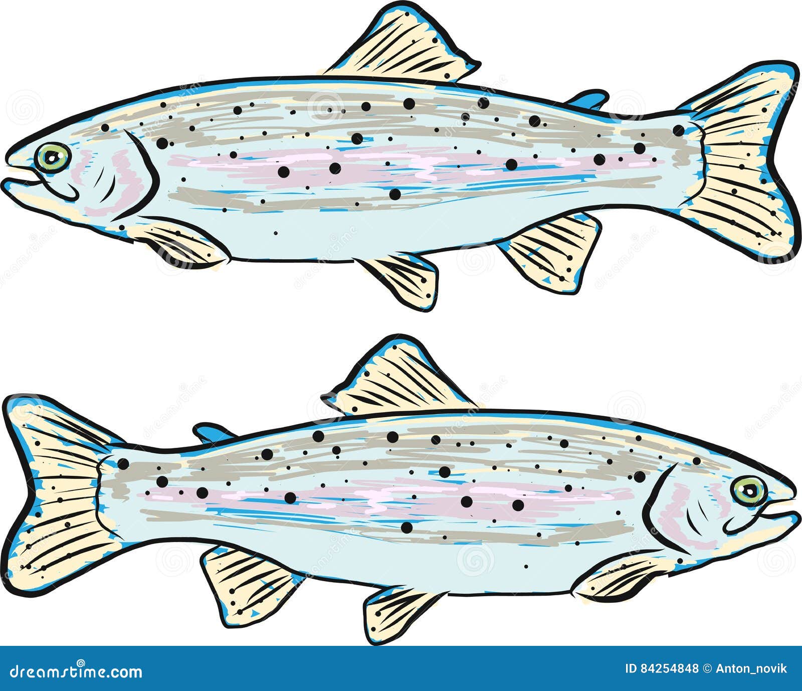 Trout, Vector Cartoon Illustration | CartoonDealer.com #65882835