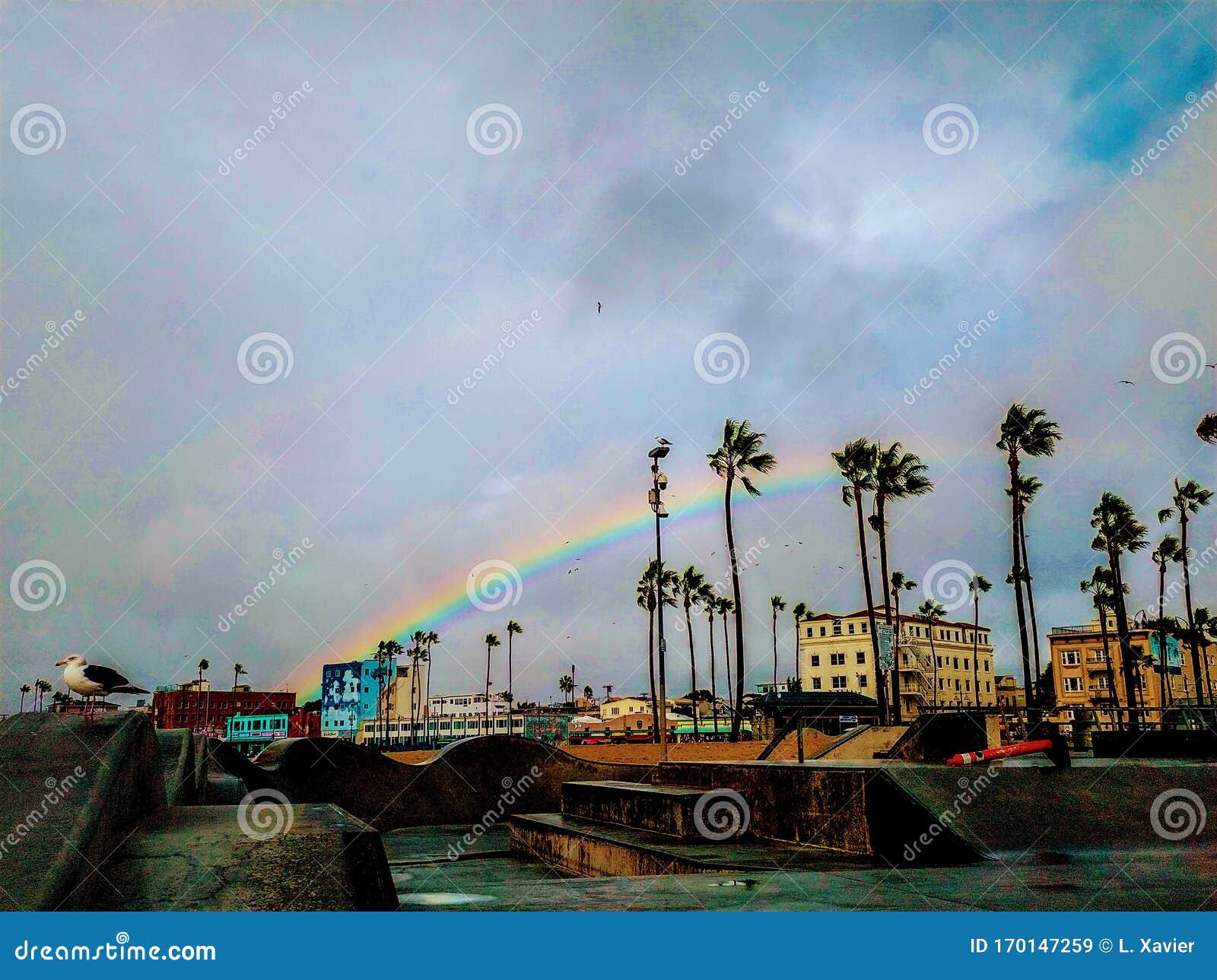 Rainbow Venice Beach California 2020 Stock Image - Image of rainbow ...