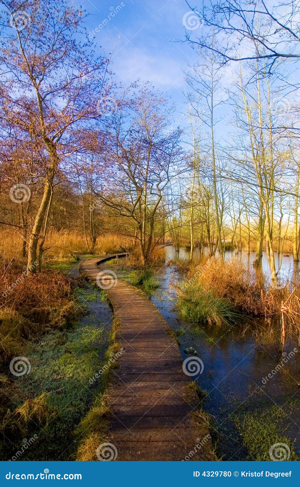 Rainbow walk stock photo. Image of inspirational, fence - 4329780