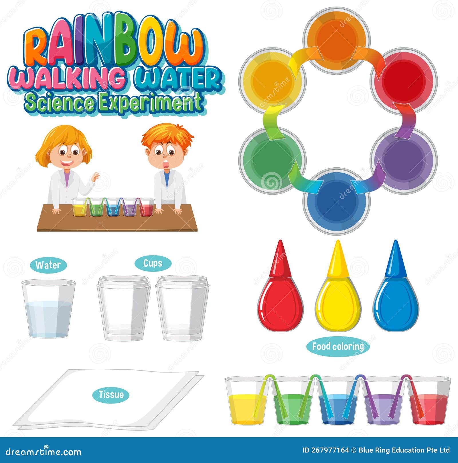Rainbow Walking Water Science Experiment Stock Vector - Illustration of ...