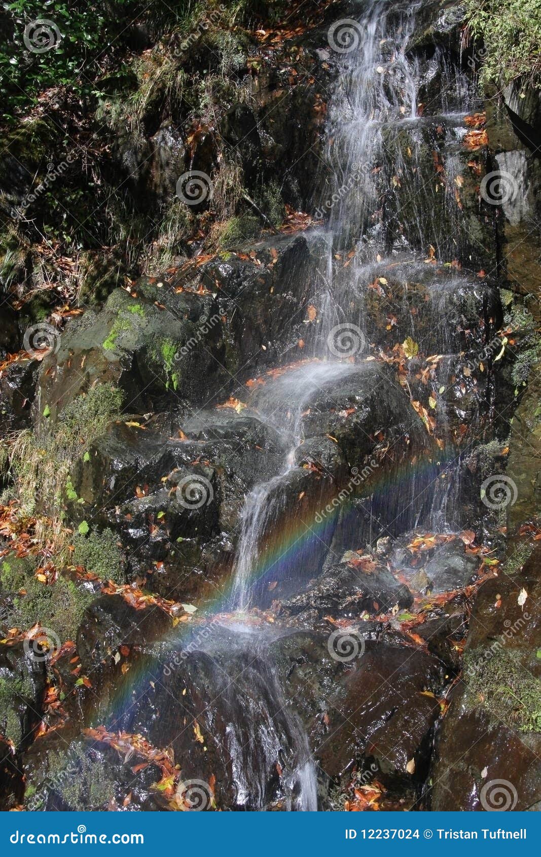 Rainbow Waterfall stock photo. Image of valley, vertical - 12237024