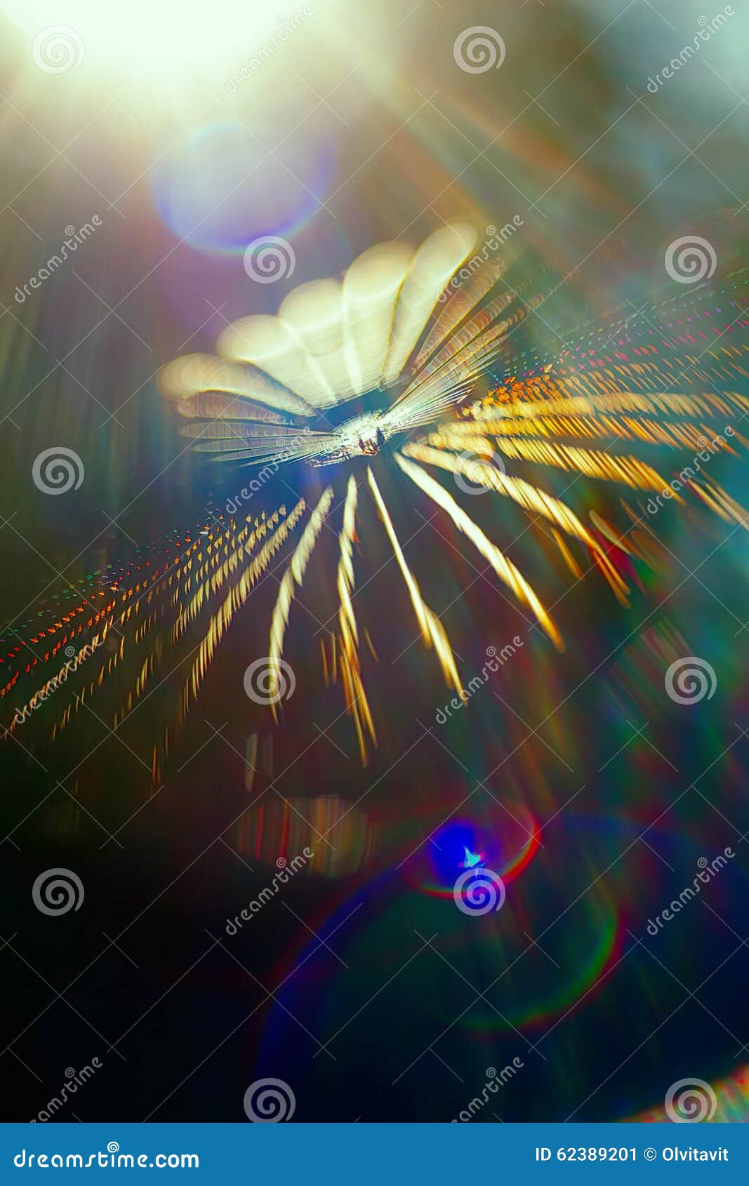 Rainbow Web in the Sun Arahnoid Abstract Background Stock Image - Image ...