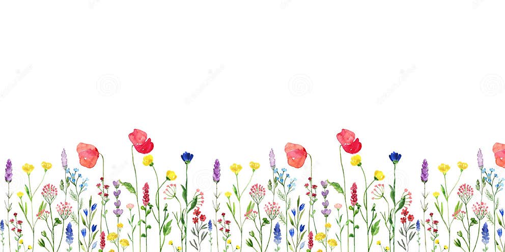 Rainbow Wildflowers Border stock photo. Illustration of border - 279515154