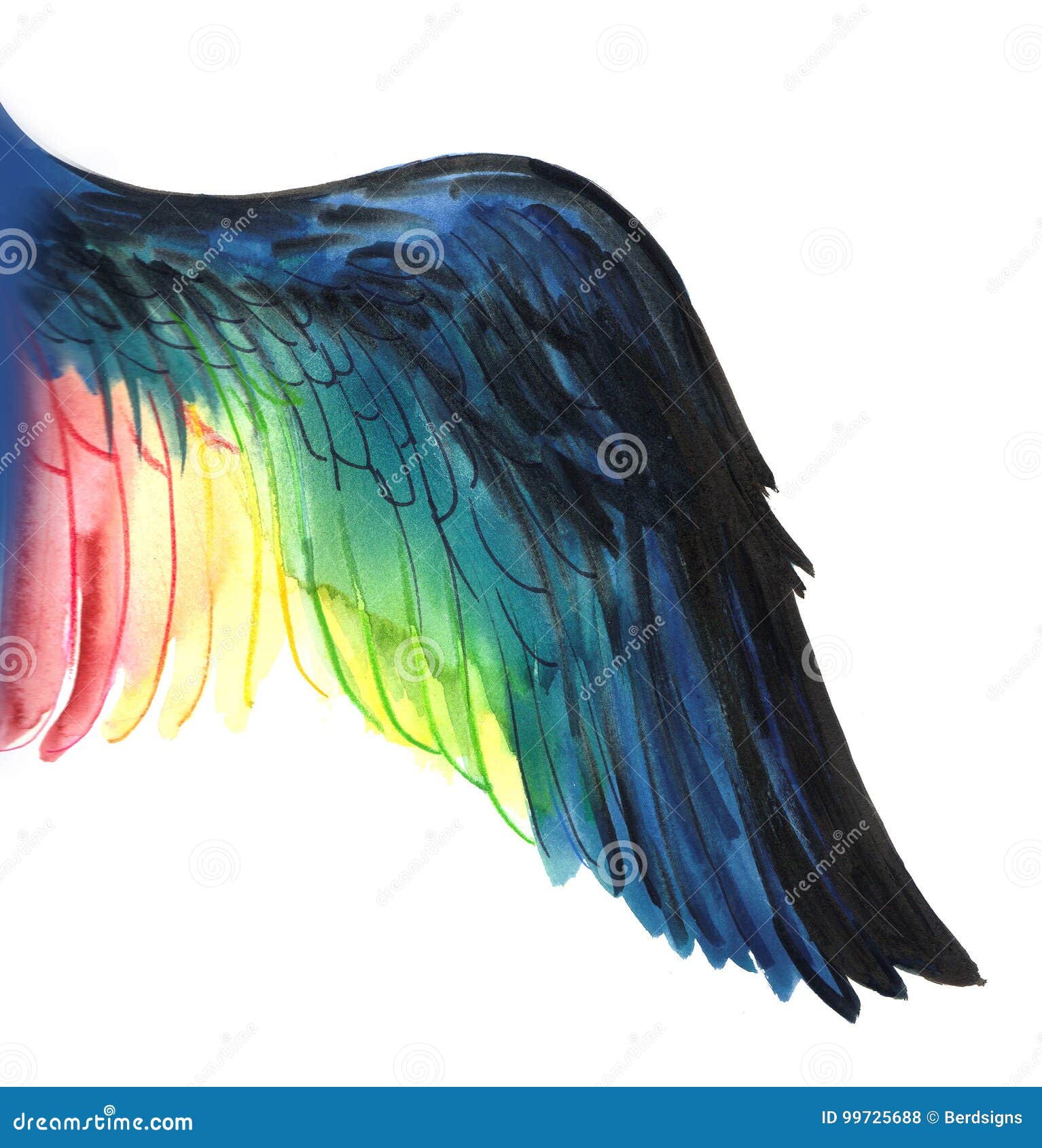 Rainbow wing stock illustration. Illustration of rainbow - 99725688