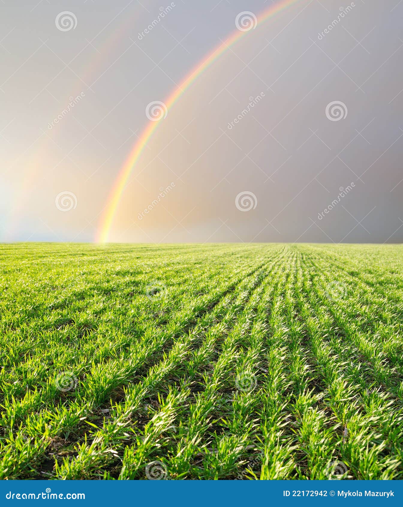 Rainbows over field stock photo. Image of field, blue - 22172942