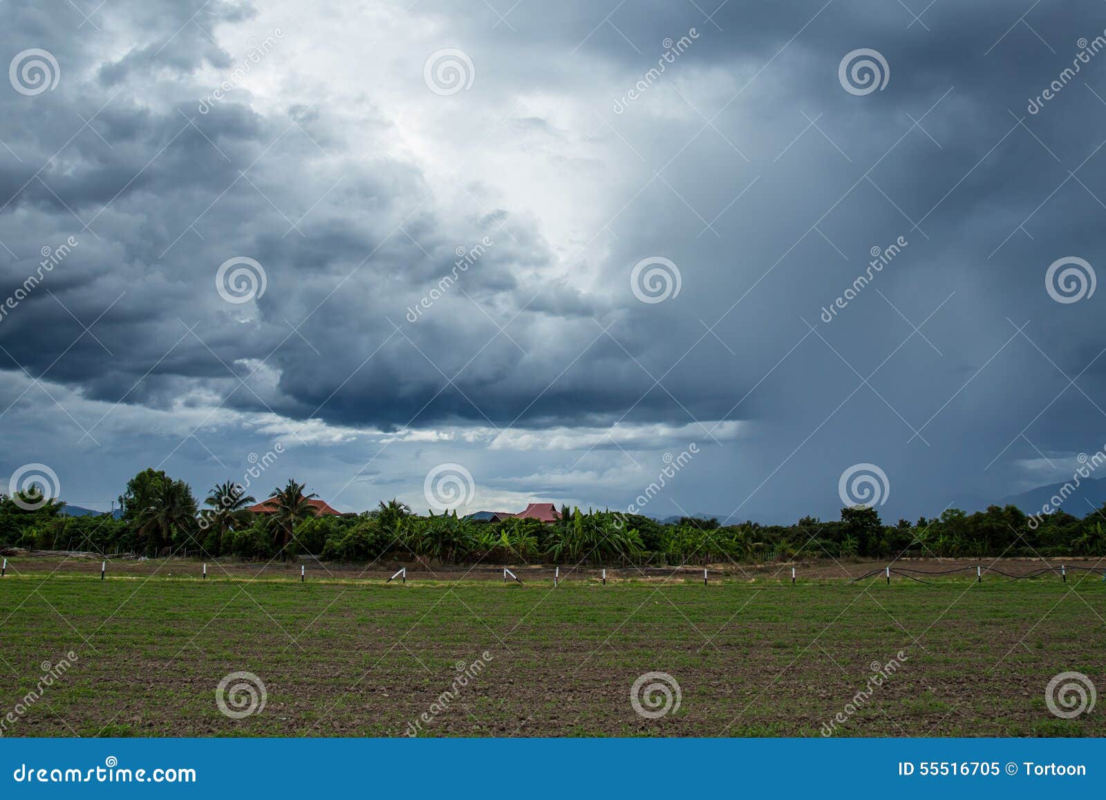 Rainclouds or Nimbus stock image. Image of color, cloudscape - 55516705