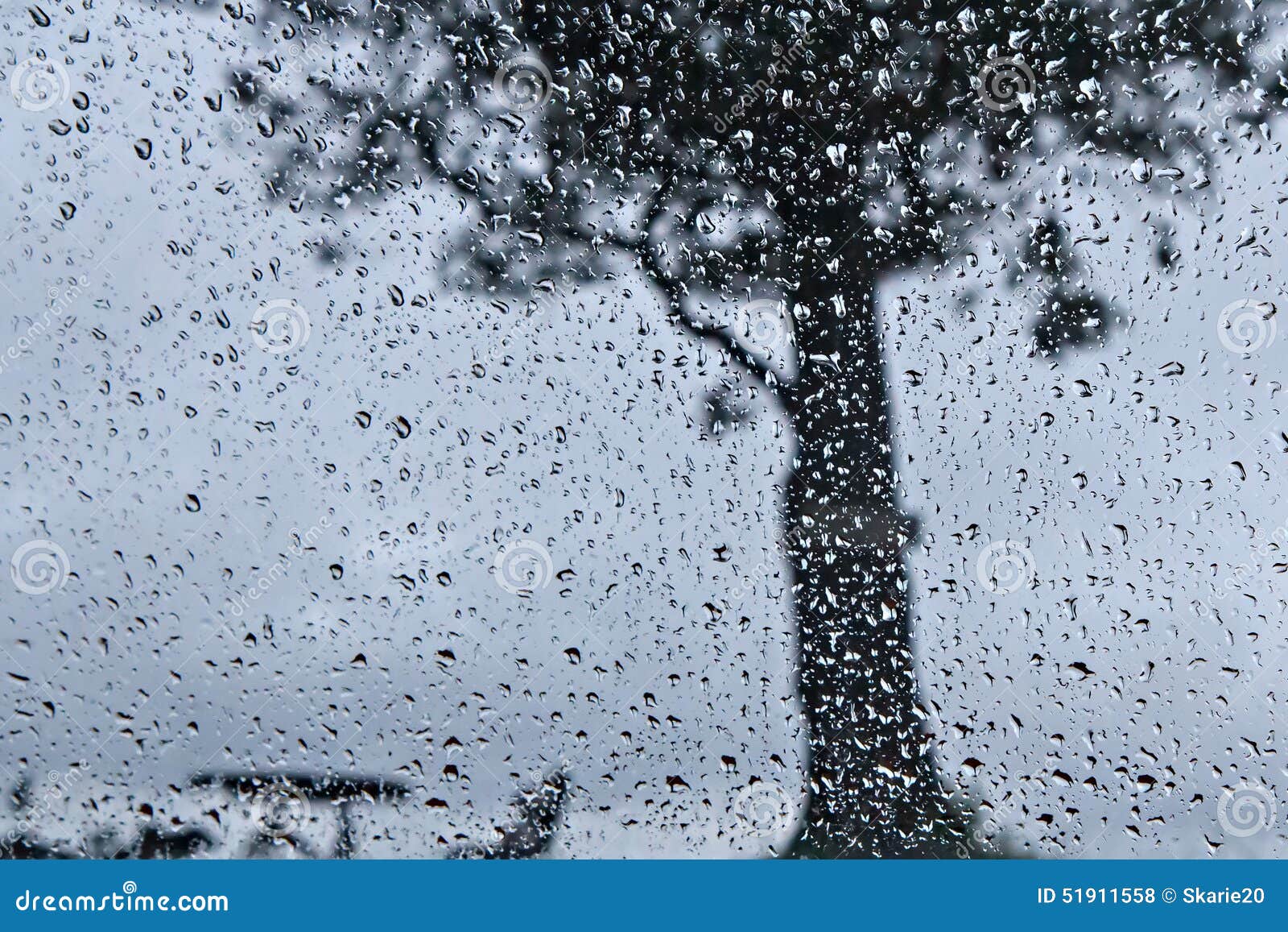 336 Raindrop Big Tree Photos - Free & Royalty-Free Stock Photos from ...