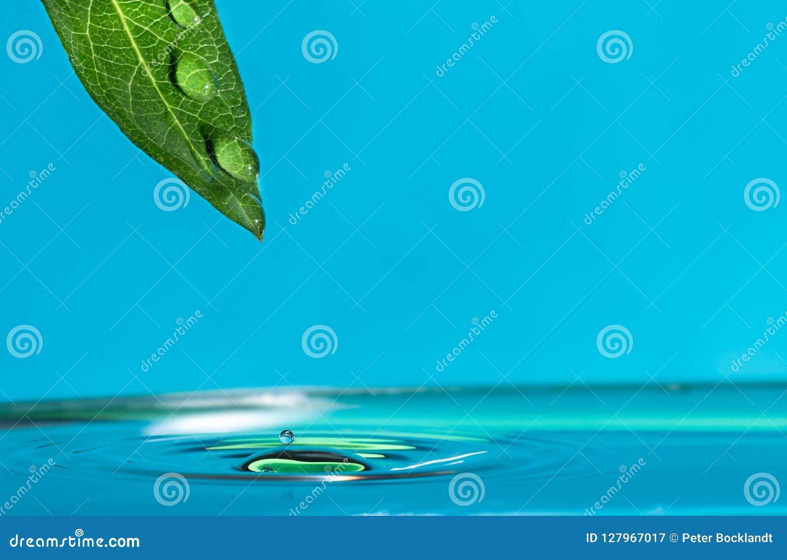 Raindrop Falling from a Green Leaf Stock Image - Image of environmental ...