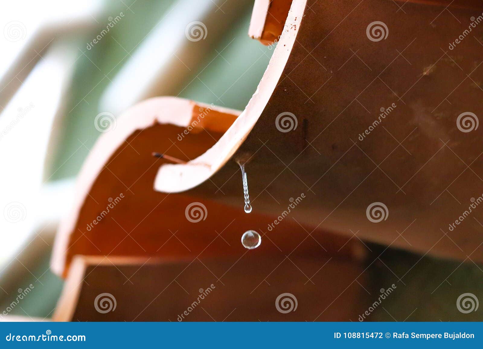 Raindrop stock photo. Image of falling, raindrop, morning - 108815472