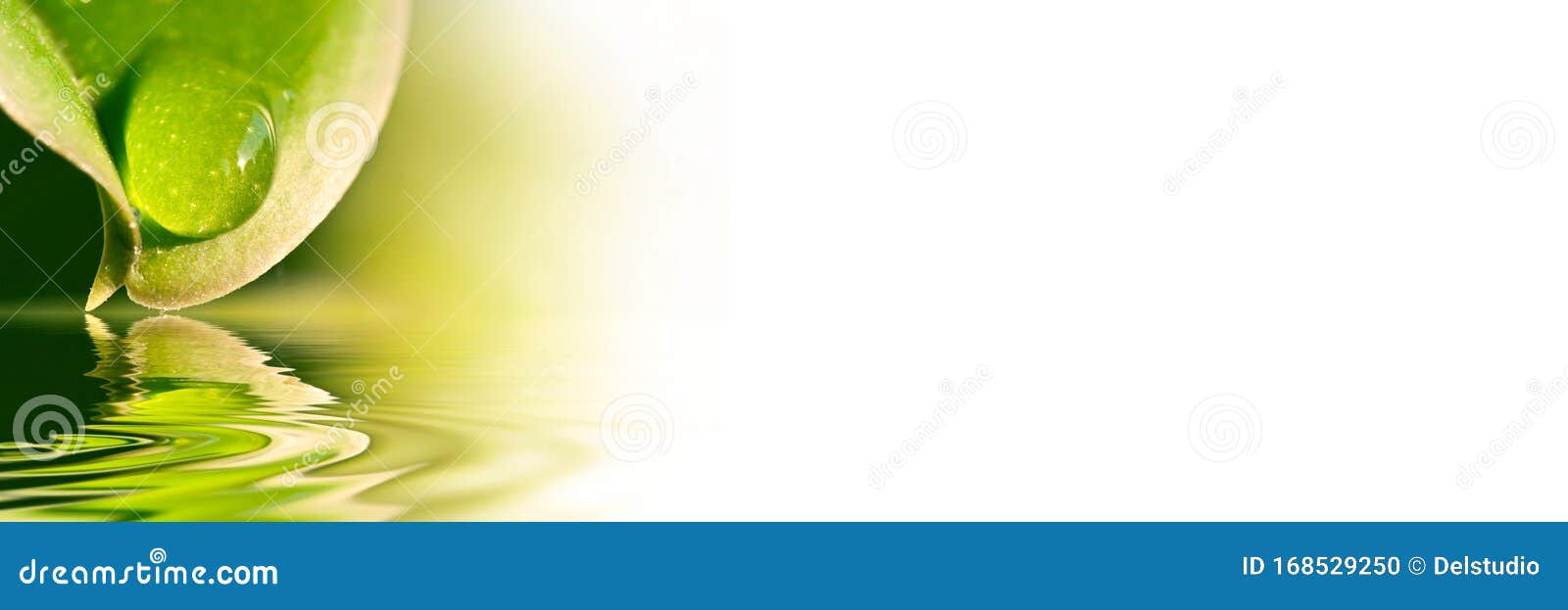 2,628 Raindrop Banner Stock Photos - Free & Royalty-Free Stock Photos ...