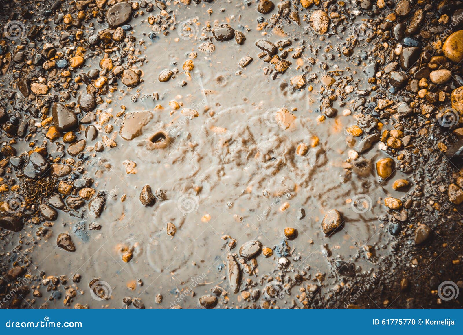 Raindrop stock photo. Image of stone, nature, dirty, empty - 61775770