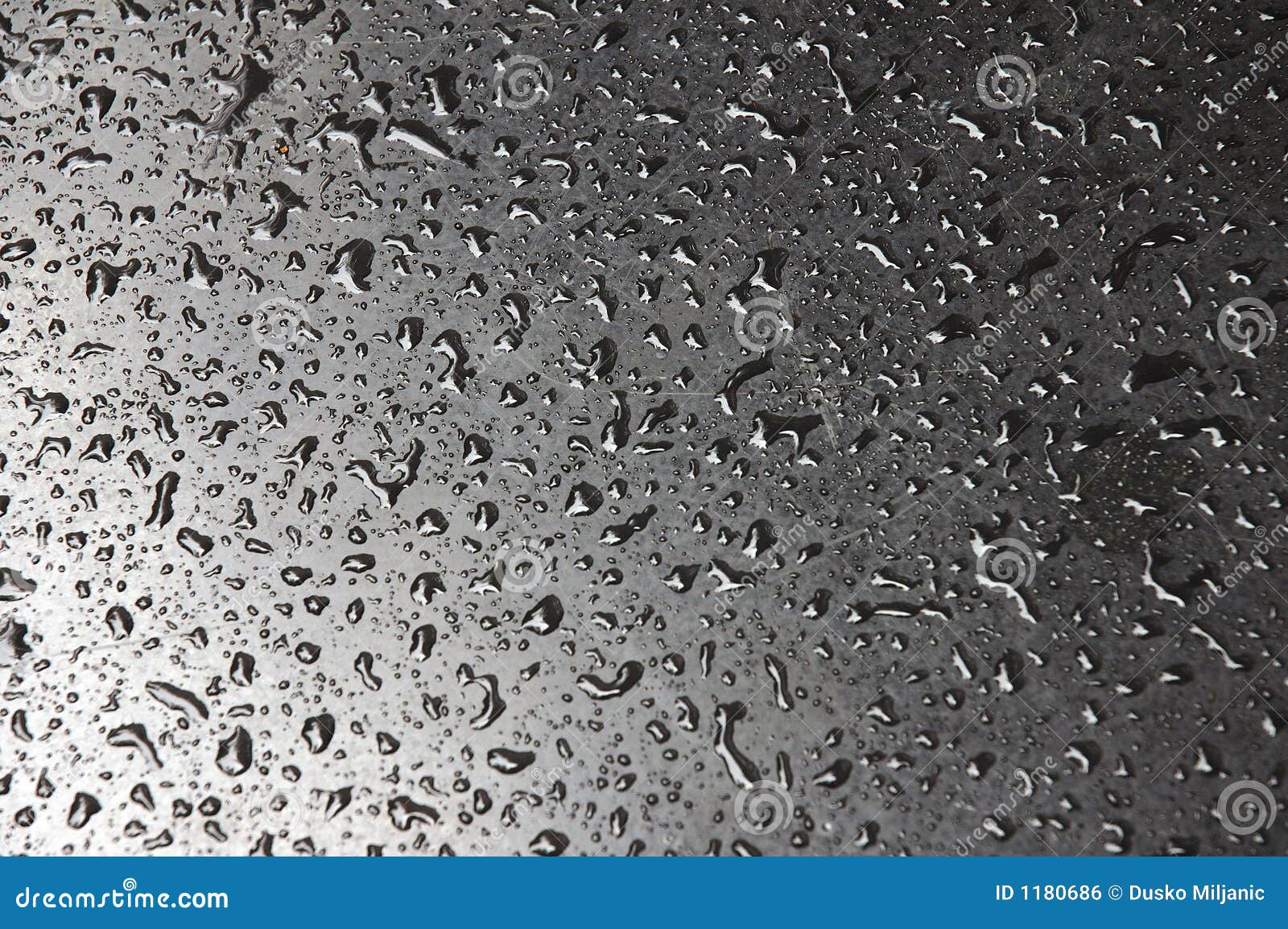 Raindrops stock photo. Image of shower, drizzle, sprinkle - 1180686