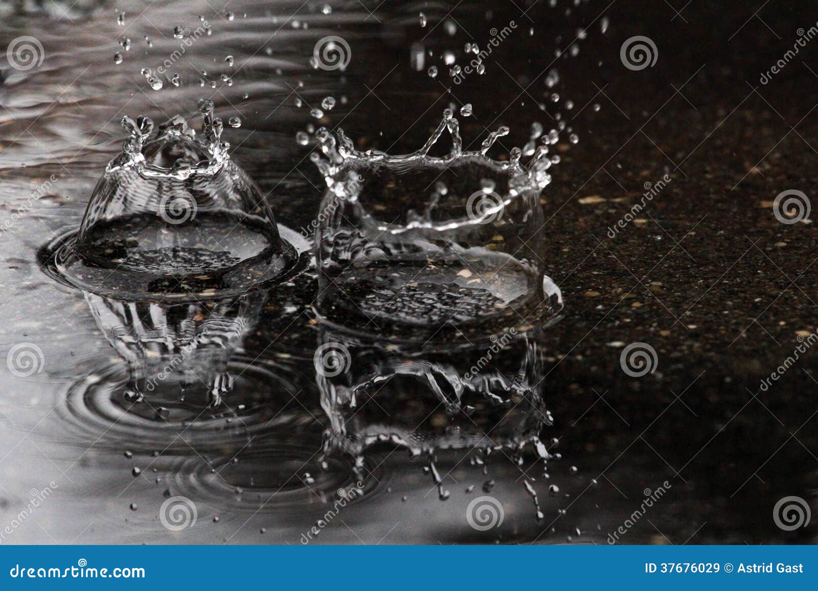 Raindrops stock image. Image of bounces, dank, rain, summeractive ...