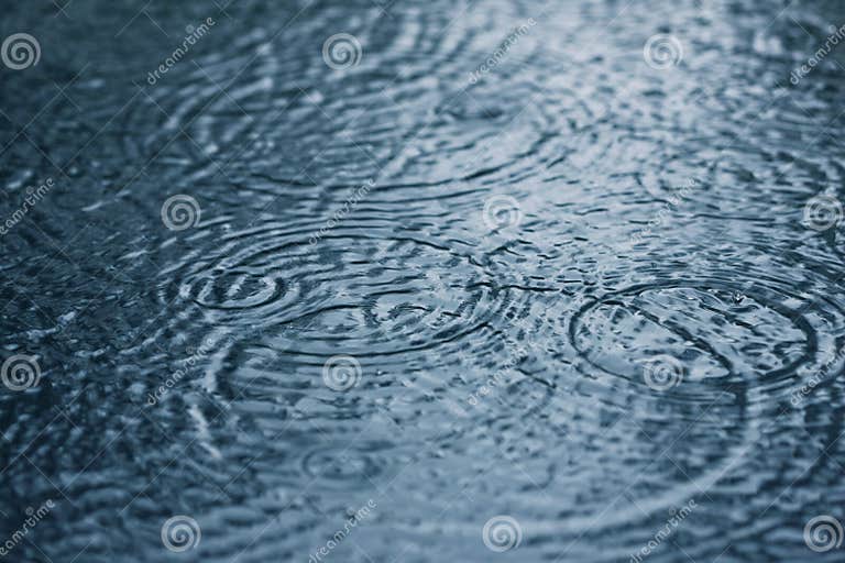 Raindrops stock photo. Image of season, cold, rainfall - 6040656