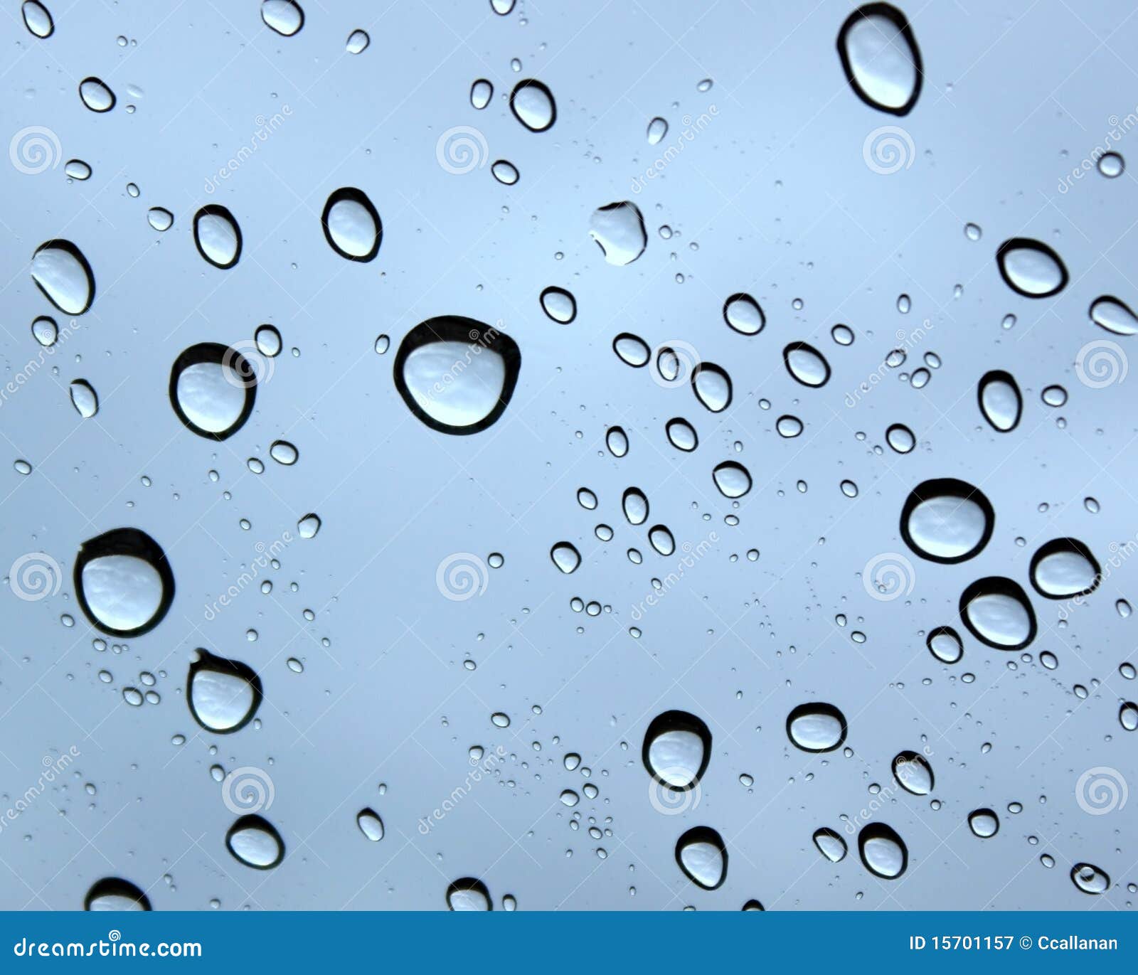 Raindrops on Blue stock image. Image of nature, refreshing - 15701157