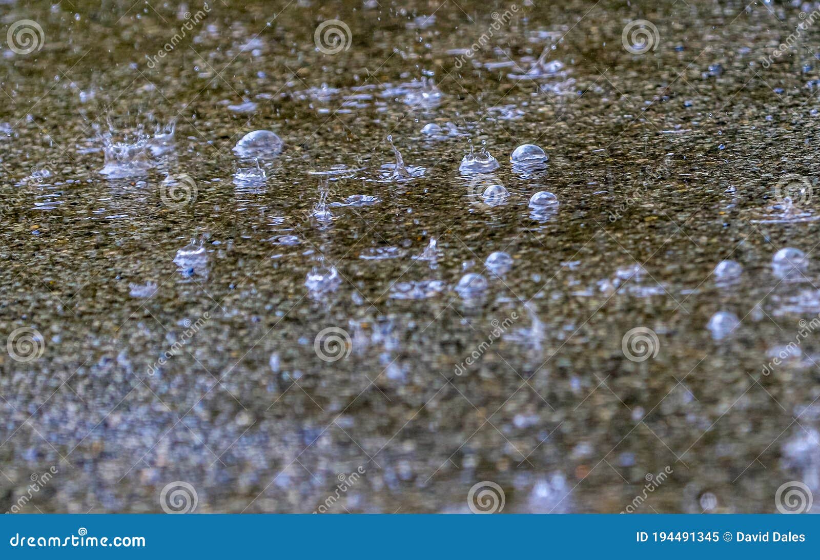 Raindrops Bouncing in a Puddle during a Heavy Shower. Stock Image ...