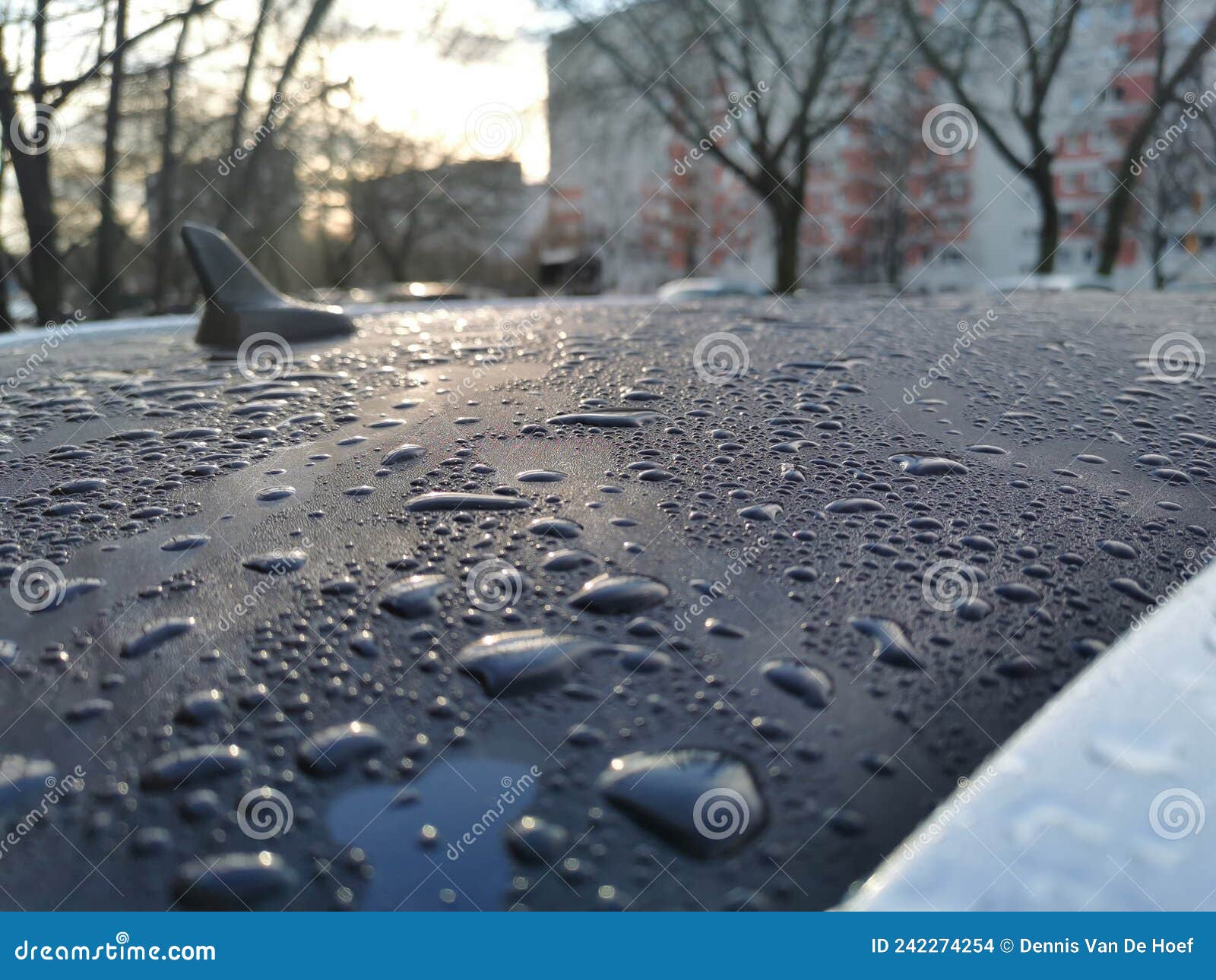 Raindrops on a car stock photo. Image of detail, drop - 242274254