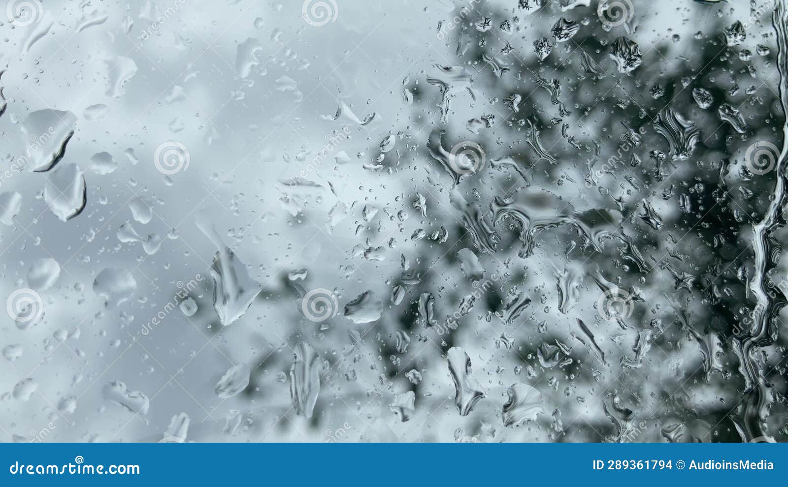 Texture of Light Rain on the Background of Green Trees Stock Footage ...
