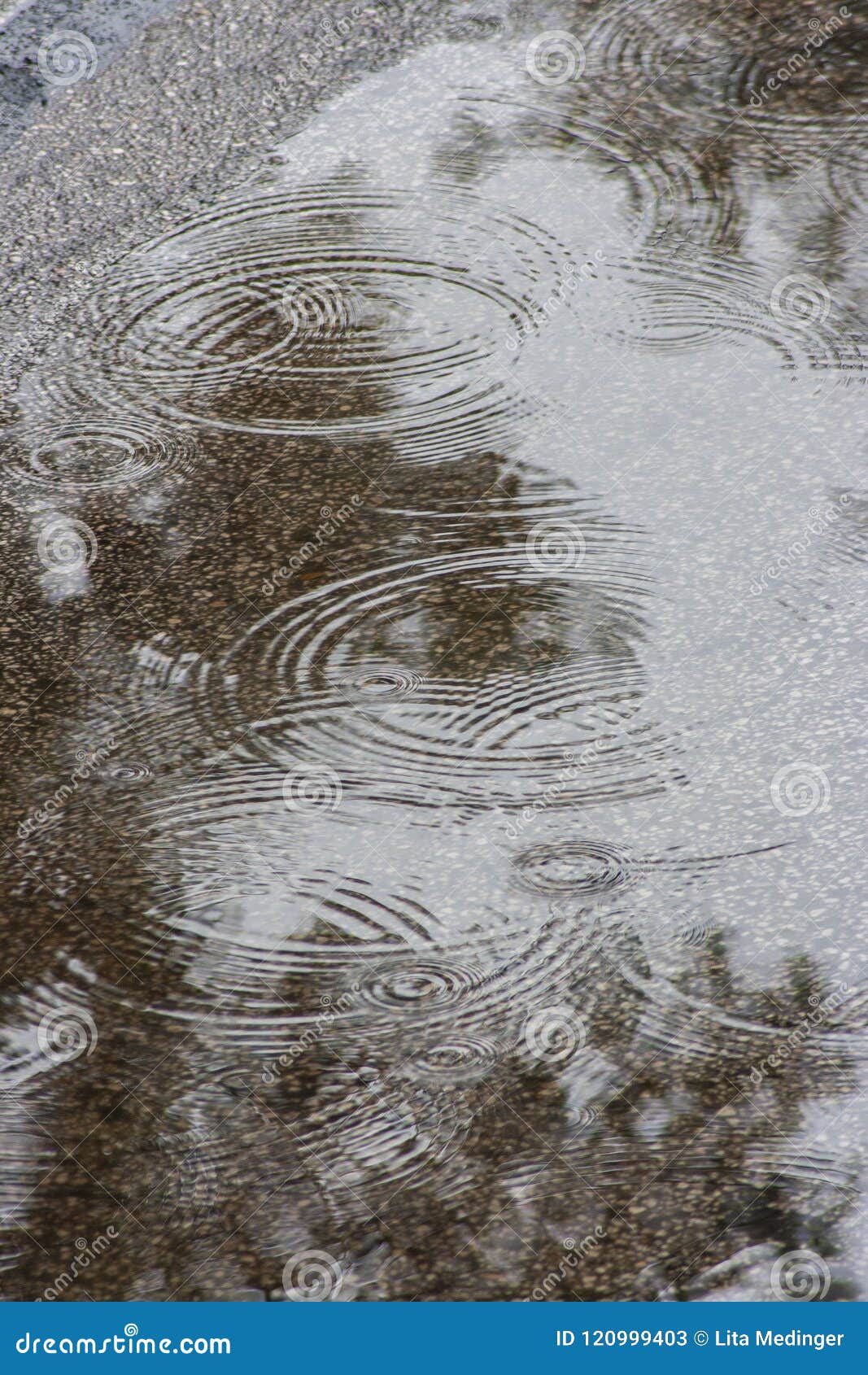 Raindrops Causing Ripples on a Puddle Stock Image - Image of weather ...