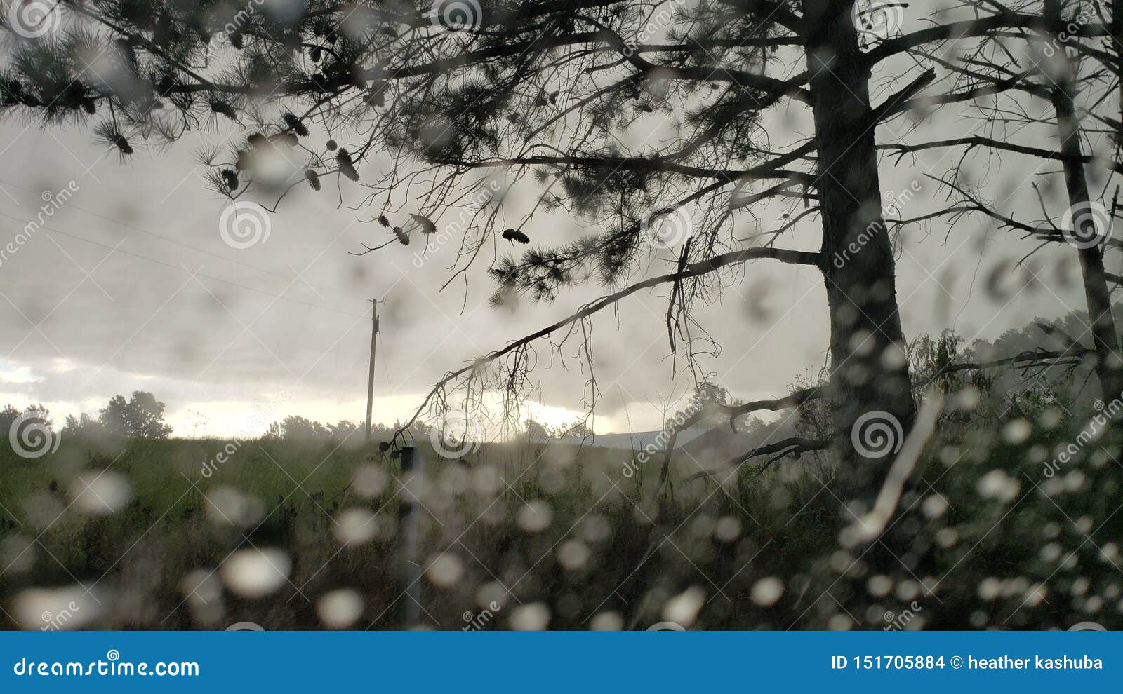 Raindrops chasing the wind stock photo. Image of chasing - 151705884