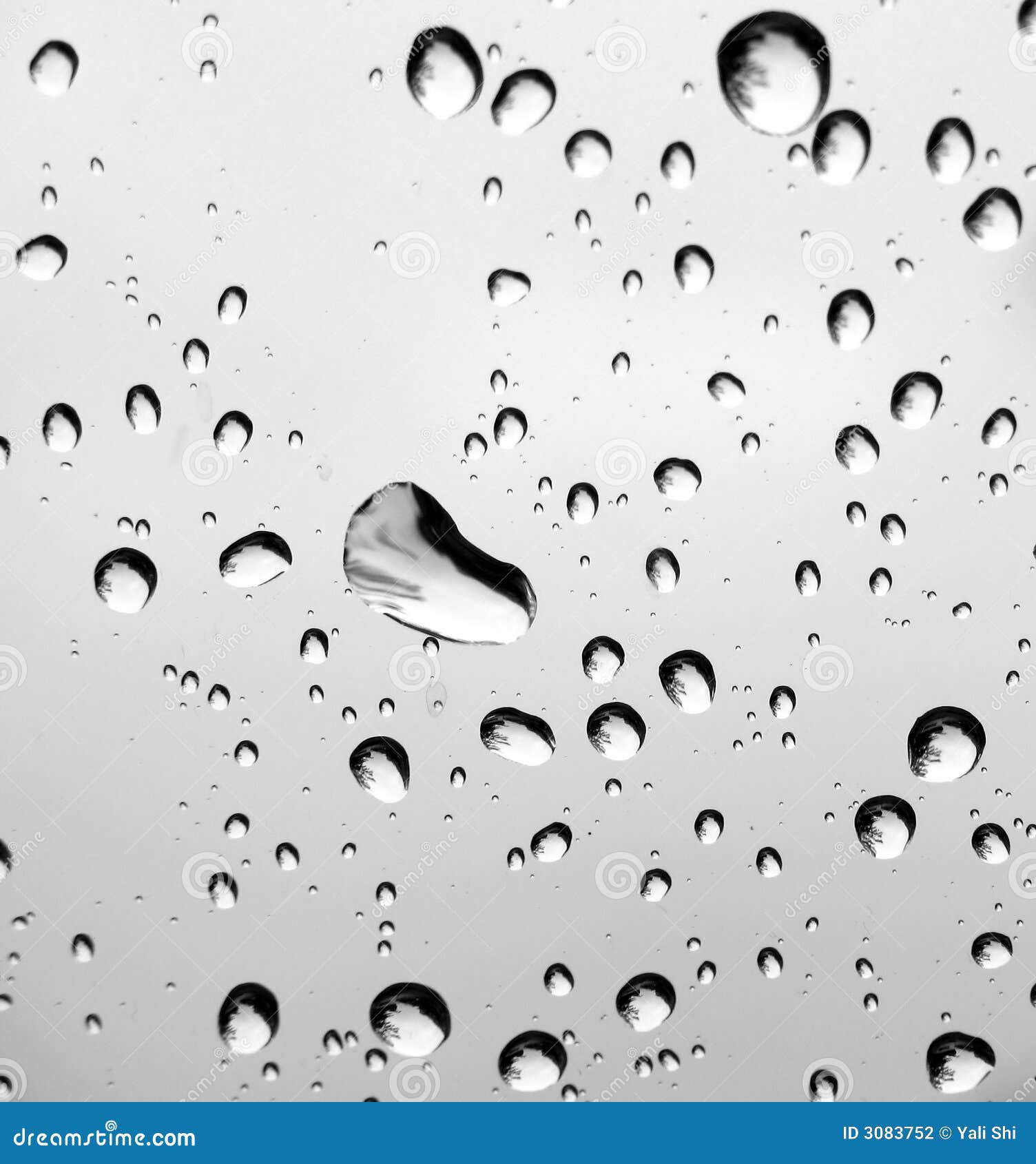 Raindrops Closeup stock photo. Image of precipitation - 3083752