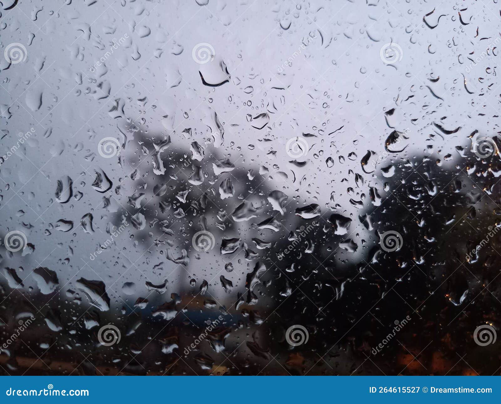 Raindrops Dripping on the Glass Stock Image - Image of winter, leaf ...