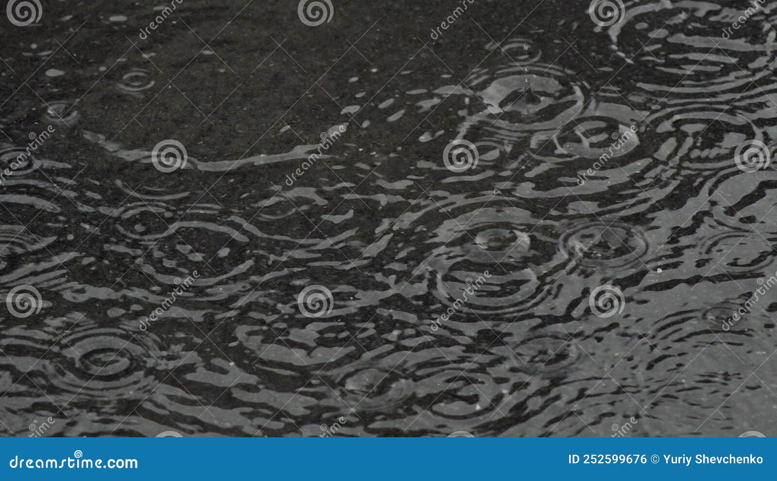 Heavy Rain on a Warm Summer Day Stock Footage - Video of monsoon ...